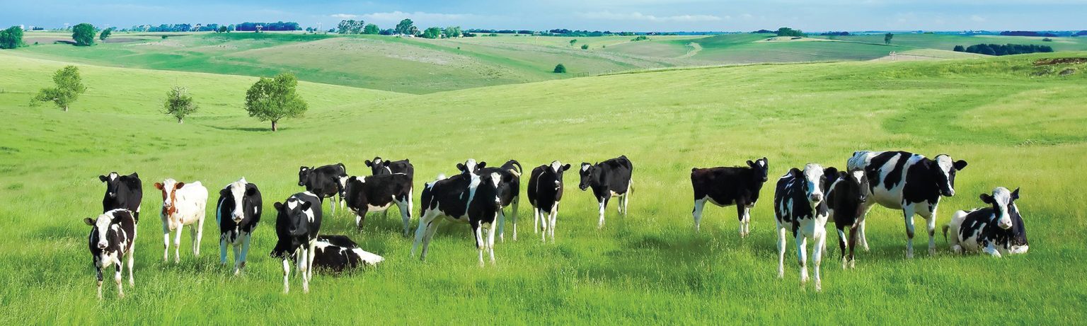 RFID, BLE, IoT & Drones for Cattle Ranching and Farming Industry - GAO RFID