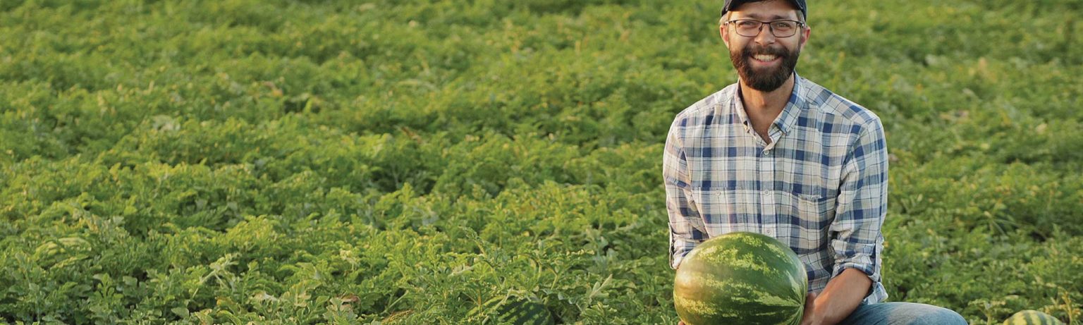 RFID, BLE, IoT & Drones for Vegetable and Melon Farming Industry - GAO RFID